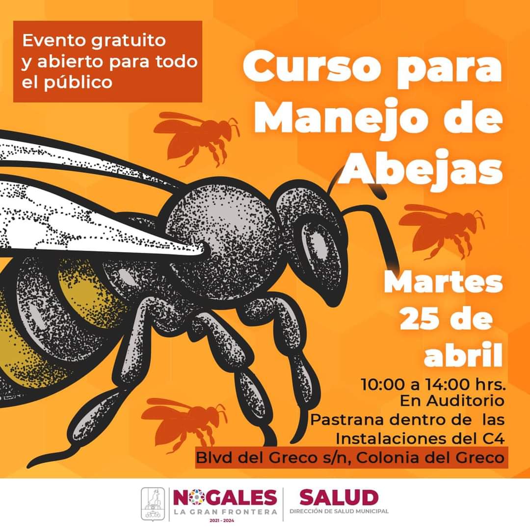 INVITAN AL CURSO SOBRE EL MANEJO DE LAS ABEJAS - Gobierno Municipal de ...